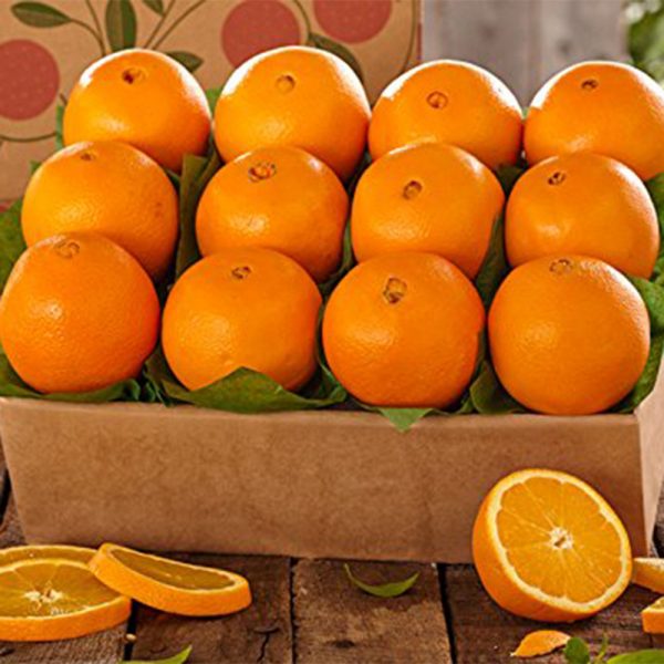 Egyptian Baladi Orange – Exportica.net