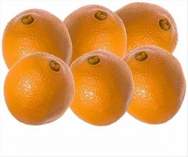 Egyptian Navel Orange – Exportica.net